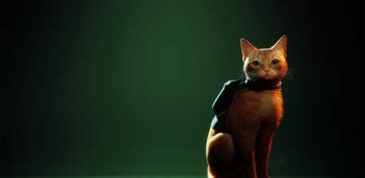 stray requisitos - MeUGamer